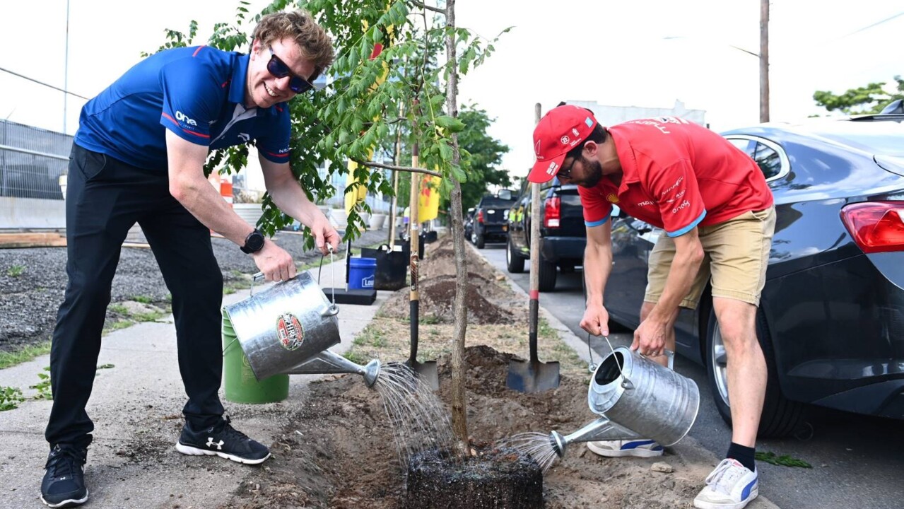 DHL Tree Planting - New York City